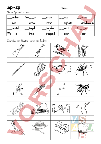 Arbeitsblatt: Sp-Wörter schreiben - Deutsch - Rechtschreibung