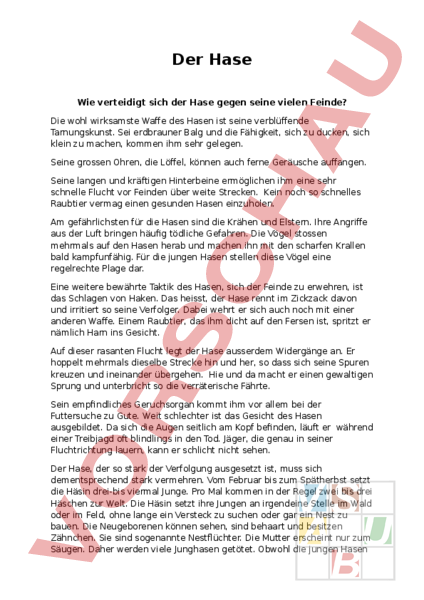 Arbeitsblatt: Der Hase - Biologie - Tiere