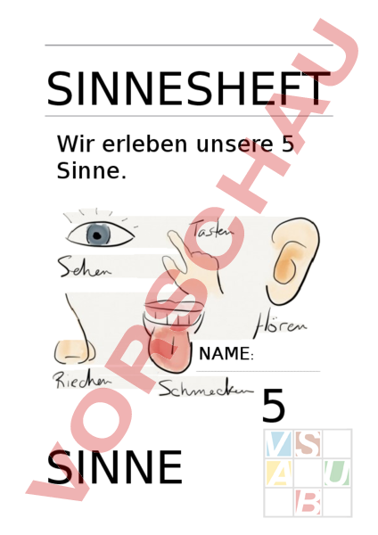 Arbeitsblatt: Die 5 Sinne - Biologie - Gemischte Themen