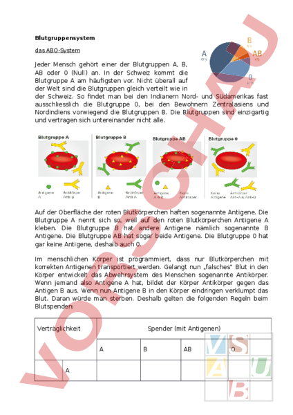 Arbeitsblatt: Blutgruppen ABO - Biologie - Anatomie / Physiologie