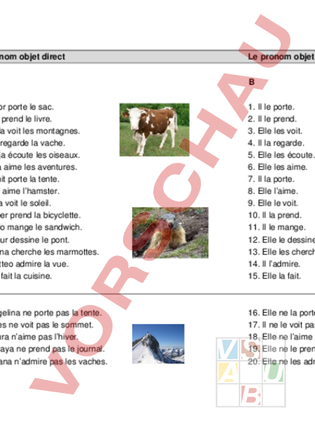 Arbeitsblatt: Pronom objet direct - Französisch - Grammatik