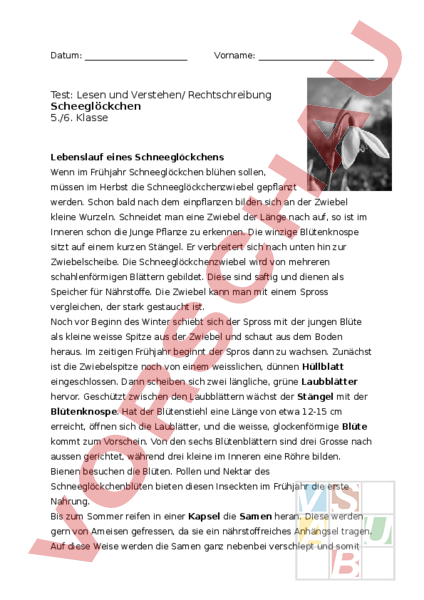 Arbeitsblatt: Leseverstehen Frühblüher - Deutsch - Gemischte Themen