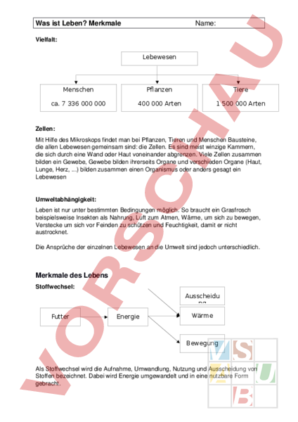 Arbeitsblatt: Was ist Leben - Biologie - Gemischte Themen