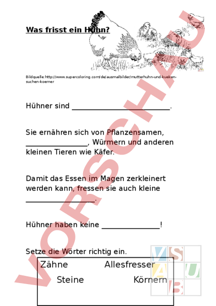 Arbeitsblatt: Das Huhn - Biologie - Tiere