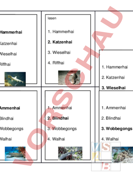 Arbeitsblatt: Quartett Haie und Rochen - Biologie - Tiere