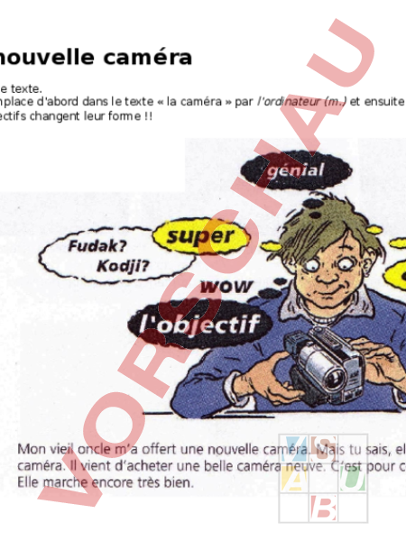 Arbeitsblatt: beau, nouveau, vieux, - Französisch - Grammatik