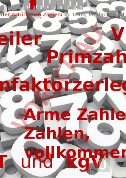 Arbeitsblatt: Teiler und Primzahlen - Mathematik - Zahlenbereiche