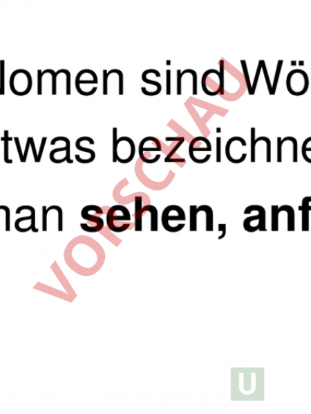 Arbeitsblatt: Merksatz Nomen - Deutsch - Grammatik