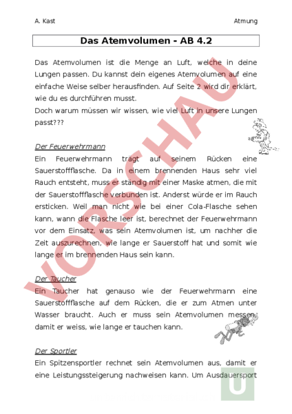 Arbeitsblatt: Atemvolumen - Biologie - Anatomie / Physiologie