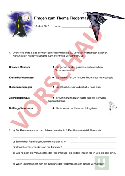 Arbeitsblatt: Lernkontrolle Fledermaus - Biologie - Tiere