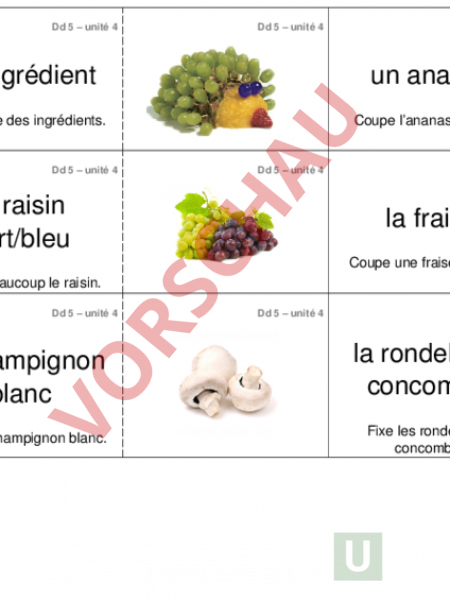 Arbeitsblatt: Dis donc-Karteikarten Unité 4 - Französisch - Wortschatz