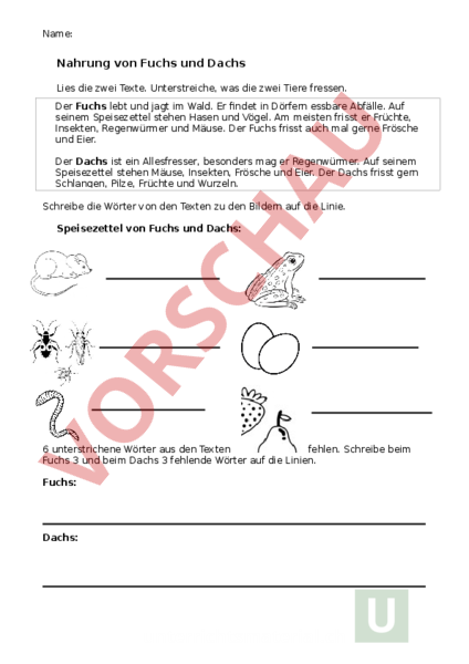 Arbeitsblatt: Nahrung von Fuchs und Dachs - Biologie - Tiere
