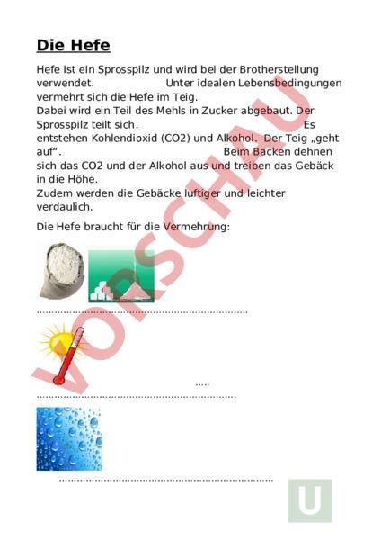 Arbeitsblatt: Die Hefe - Wirtschaft, Arbeit, Haushalt - Ernährungslehre