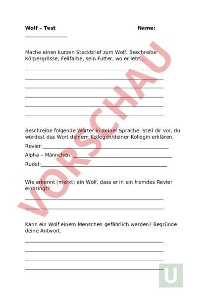 Arbeitsblatt: Wolf - Test - Biologie - Tiere