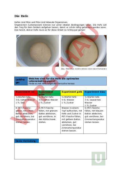 Arbeitsblatt: Die Hefe - Wirtschaft, Arbeit, Haushalt - Kochen