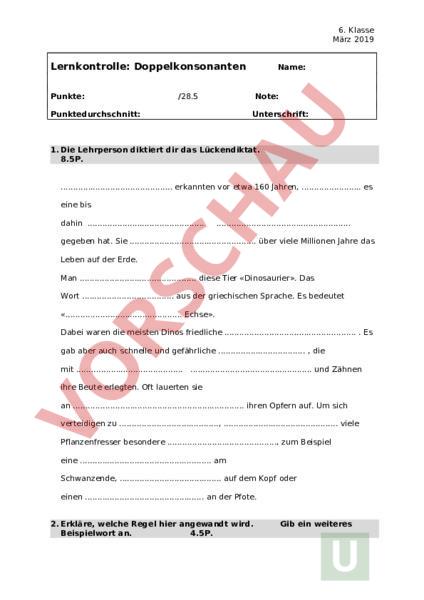 Arbeitsblatt: Test Doppelkonsonanten - Deutsch - Rechtschreibung