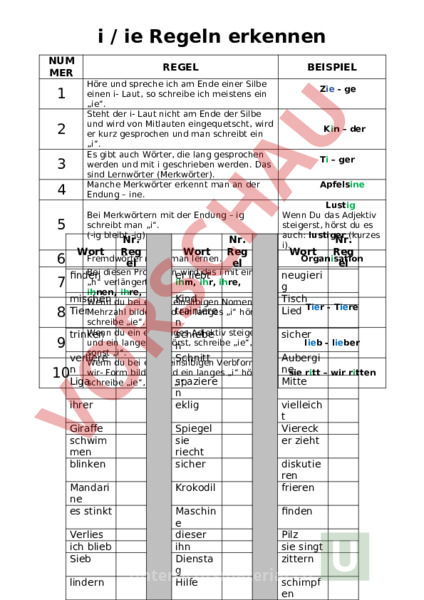 Arbeitsblatt: i/ ie Regeln erkennen - Deutsch - Rechtschreibung