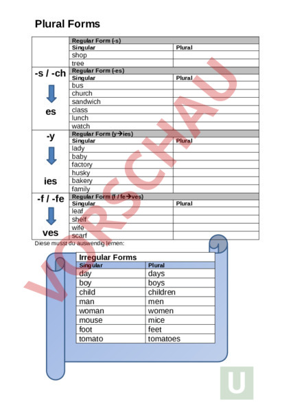 Arbeitsblatt: Plural Forms - Englisch - Grammatik
