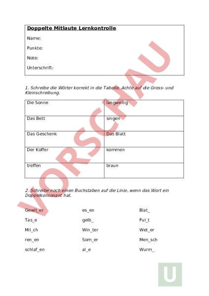 Arbeitsblatt: Doppelte Mitlaute Test 3. Klasse - Deutsch - Rechtschreibung