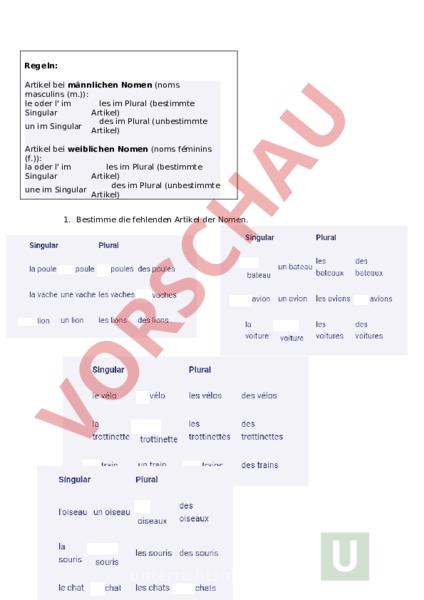 Arbeitsblatt: Singular und Plural, Regeln, Artikel - Französisch ...