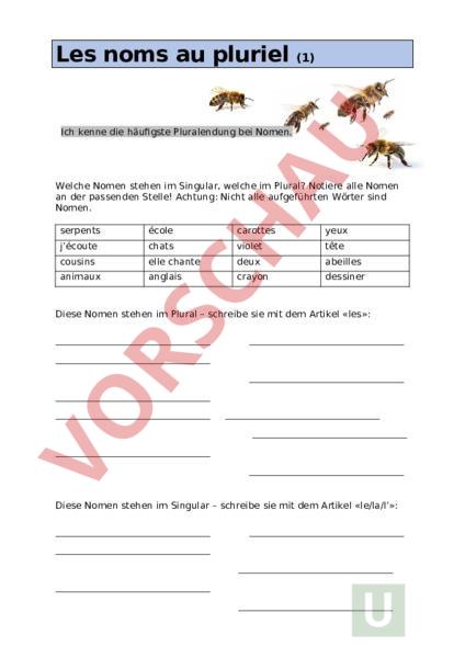 Arbeitsblatt: les noms au pluriel - Französisch - Grammatik