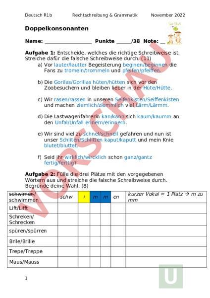 Arbeitsblatt: Rechtschreibung: Prüfung Doppelkonsonanten - Deutsch ...